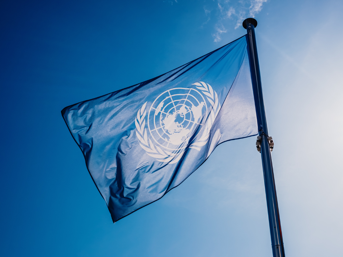 UN Working Group On Arbitrary Detention | Mirage News