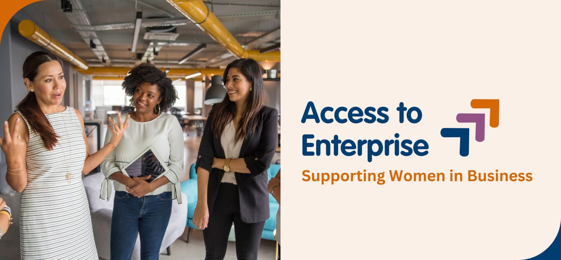 Join PWDA’s Small Business Mentoring Program for Women with Disability ...