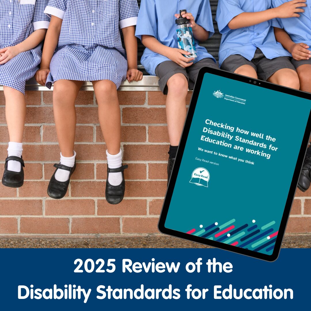 2025 Review: Disability Education Standards Submission | Mirage News